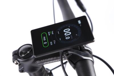 Cina Bici elettrici da 250W con display multifunzione e funzionalità intelligenti Bici elettrici da montagna in vendita