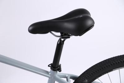 Cina Bici elettrici da 250W con display multifunzione e funzionalità intelligenti Bici elettrici da montagna in vendita