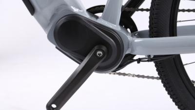 Cina Bici elettrici da 250W con display multifunzione e funzionalità intelligenti Bici elettrici da montagna in vendita