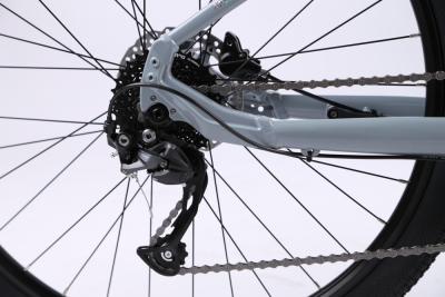 Cina Bici elettrici da 250W con display multifunzione e funzionalità intelligenti Bici elettrici da montagna in vendita