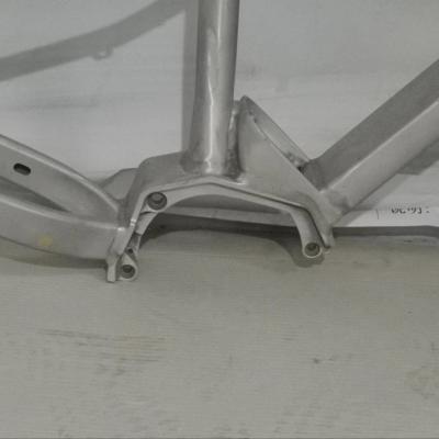 Cina OEM Shimano E5000 Mid-Drive Electric Mountain Bike Frame Ep8 E-bike Conversion Kit in vendita