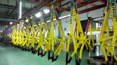 Cina TD420S Dirt Jump/BMXAluminum Bike Frame, DJ/Hardtail Mountain Bike Mtb 26er/27.5er in vendita