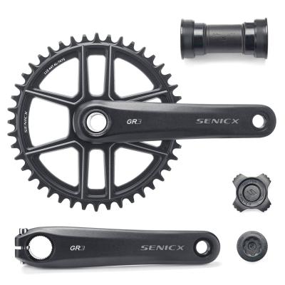 Cina Lightweight Gravel Bike Crankset Axle 24mm 165/170/175 42/44T Chainring Crank 10/11/12s in vendita