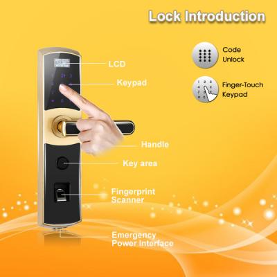 China Password and Biometric Fingerprint Door Lock for Home or Office for sale