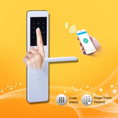 Cina Di parola d'ordine di porta del touch screen Keyless della serratura della garanzia serratura di porta lunga di prim'ordine della carta del  contactlessly in vendita
