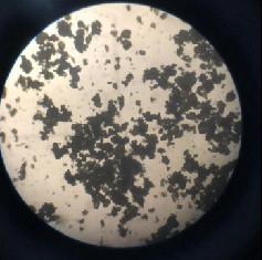 중국 15 um ~ 300 um 분말 입자 크기 293.4 Ｃ 비등점 하얀 폴리스타이렌 분말 판매용