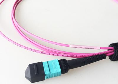 中国 MTP/MPOの繊維光学のパッチ・コードOM4 40G 12の中心3MM LSZHのジャケット 販売のため