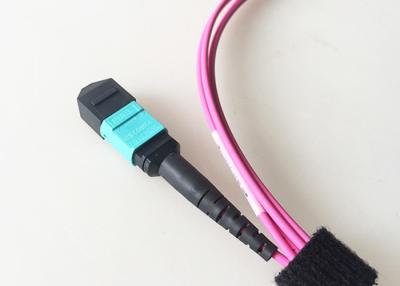 中国 MTP/MPOの繊維光学のパッチ・コードOM4 40G 12の中心3MM LSZHのジャケット 販売のため