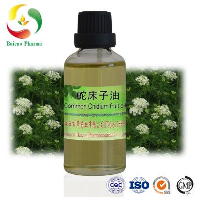 China High Quality Common Cnidium Fruit Oil Essential oil best price manufacturer Natural and 100% pure for sale