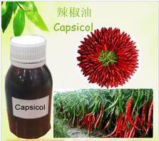 China capsaicin oil plant essential oil price for sale