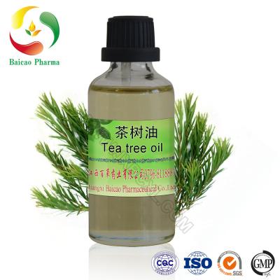 China pure tea tree oil for shampoo and soap Natural and 100% pure for sale