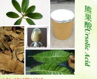 China Natural Rosemary Extract Ursolic acid 25% for sale
