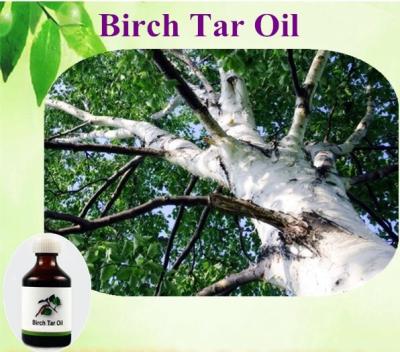 China Natural Birch Tar Oil plant essential oil for sale