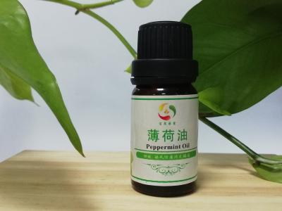 China GMP OEM / ODM Flavour and fragrance pure natural organic for cosmetic Peppermint essential oil for sale