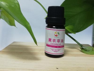 China OEM / ODM Flavour and fragrance pure natural organic for cosmetic lavender essential oil for sale