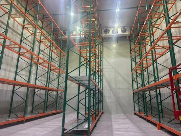 Quality Powder Coated Adjustable Levels Warehouse Pallet Racking For Cold Storage for sale