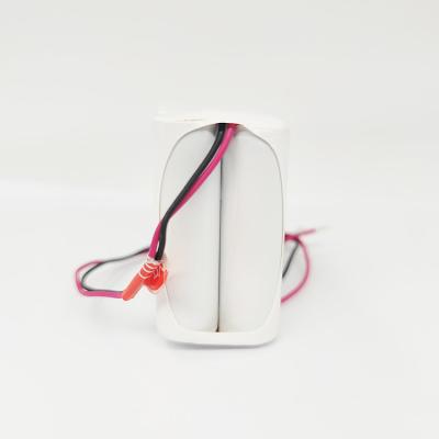 Cina Batteria Ni-Cd ad alta temperatura 12V 2200mAh per ricarica e scarica di emergenza in vendita