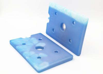 Pantone Color Plastic Freezer Cold Packs 1000ml For Frozen Food