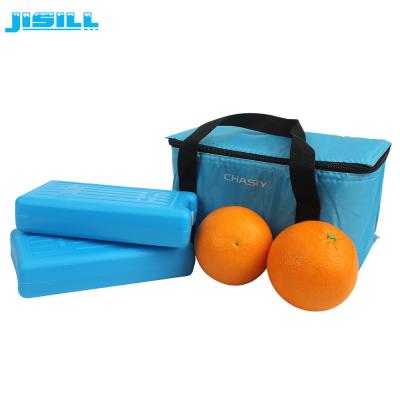 Cina Gli elementi refrigeranti duri di plastica blu del mattone del dispositivo di raffreddamento del ghiaccio comerciano i pack all'ingrosso in vendita