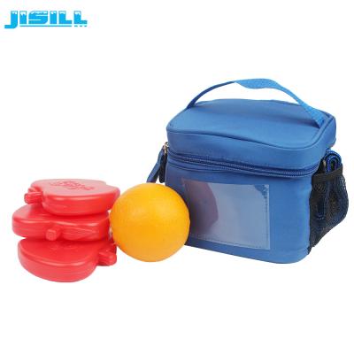 중국 애플은 HDPE 단단한 소형 얼음주머니, 작은 냉장고 팩 10*2 Cm를 형성합니다 판매용