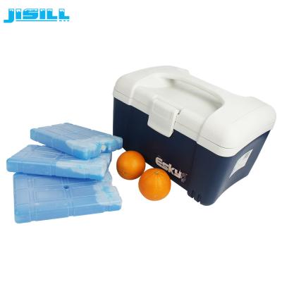 Cina grande trasporto dell'alimento dei pack del dispositivo di raffreddamento dei materiali a cambiamento di fase 1000ml in vendita