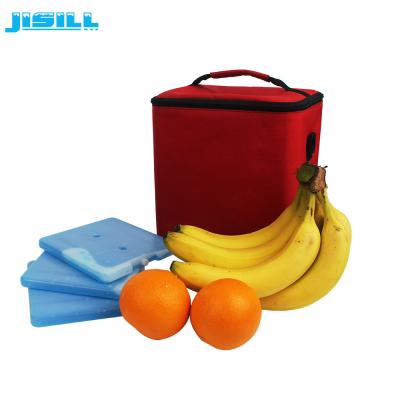 Cina BPA Free Conservazione degli alimenti Impacchi di ghiaccio a lunga durata Borsa termica Mattoni di ghiaccio Materiale interno SAP in vendita