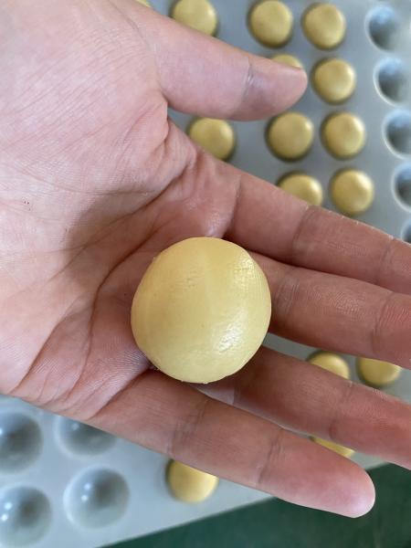 Quality Six Rows Glutinous Rice Ball Making Machine Easy Operation 2550*1350*1580mm for sale