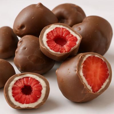 China 30kg Chocolate Enrober Machine with Cooling Tunnel - Professional Confectionery Equipment for sale