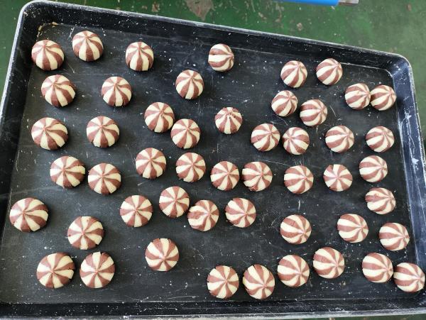 Quality Two-Tone Teardrop Stuffed Cookies Automatic Encrusting Machine 5000-6000pcs/h for sale