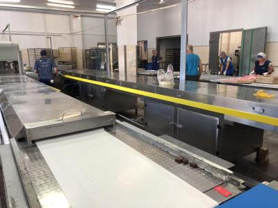 Cina Linea di produzione di barrette energetiche di cioccolato installata in Ucraina in vendita