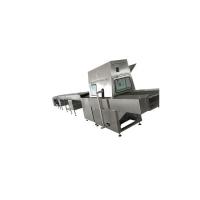 China Precision Bottom Coating Chocolate Enrober Machine 400mm with 10m Cooling Tunnel for sale