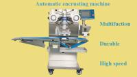China Papa P160 Encrusting Machine Multipurpose 10g to 250g 100 pcs per min for sale