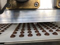 China Chocolate Chips Production Line 1-10TPD Automated Molding Machine for Food Manufacturing for sale