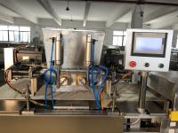 China Chocolate Chips Production Line 1-10TPD Automated Molding Machine for Food Manufacturing for sale