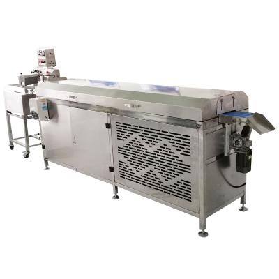 China Small Commercial Chocolate Enrober Machine with Cooling Tunnel - Stainless Steel 304, 220V Single Phase, 8kg/15kg/30kg/60kg Capacity for sale