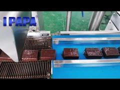 Easy Operation Small Chocolate Enrober Machine For Dry Fruit Chocolate Coating