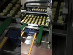 Stainless Steel Accessory Machine 5-8 Tray/Mins Automatic Egg Brushing Machine