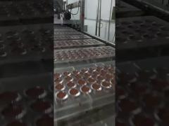 Linea di produzione di cioccolato ad alta capacità con lunghezza di tunnel da 10 a 14 metri