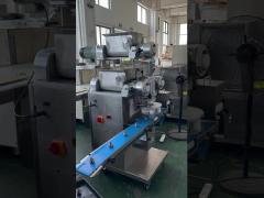 P188 Macchina Automatica per Rivestimento a 220V per Biscotti Bicolore 40-120 pezzi/min