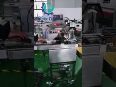 Chocolate Enrober Machine for Nut-Coated Bars 500kg/h