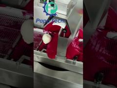 60 kg macchina elettrica per il cioccolato 220V 3,1kw