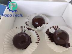 Ice Cream Mochi Chocolate Coating Machine | Automatic Enrobing Solution 