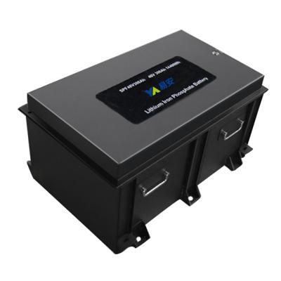 Cina Batteria al litio 48V 300ah per veicoli elettrici e generazione di energia domestica in vendita