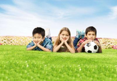 China 35mm Four Colors Mixed  Landscape,Decoration Artificial Grass, Synthetic Turf Grass For Garden Field for sale