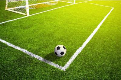 China Football Turf  Artificial Grass Carpets For Football Stadium, 40mm Natural Turf For Football Field for sale