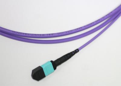 Cina 24 colori porpora viola misti del cavo OM4 OFNP di fibra ottica MPO MTP dei centri in vendita