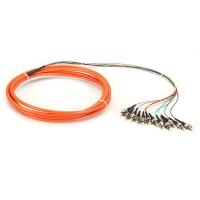 China ST UPC Multimode OM3 Bare Ribbon Fanout Pigtail Patch Cord 12 Fiber PVC Jacket for sale
