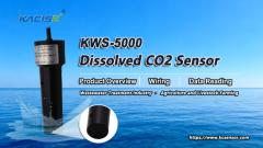 KWS-5000 Carbon Dioxid Sensor Wiring & Data Reading