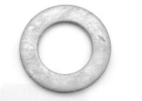 China Hot Dip Galvanized 4.8 Flat Ring Gasket for sale