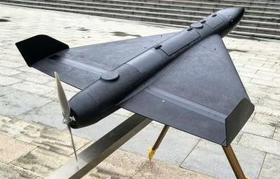 China ZAi-CLLM1100 8kg Loitering Drone 2h Endurance 180km/H Dive Strike AI GPS Foldable for sale